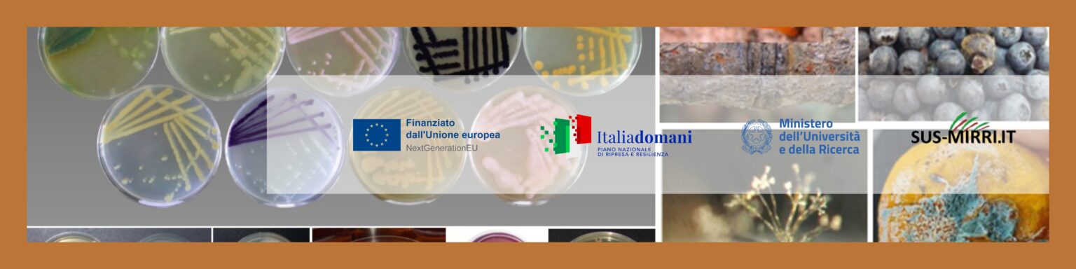 SUS Mirri – Strengthening the MIRRI Italian Research Infrastructure for ...