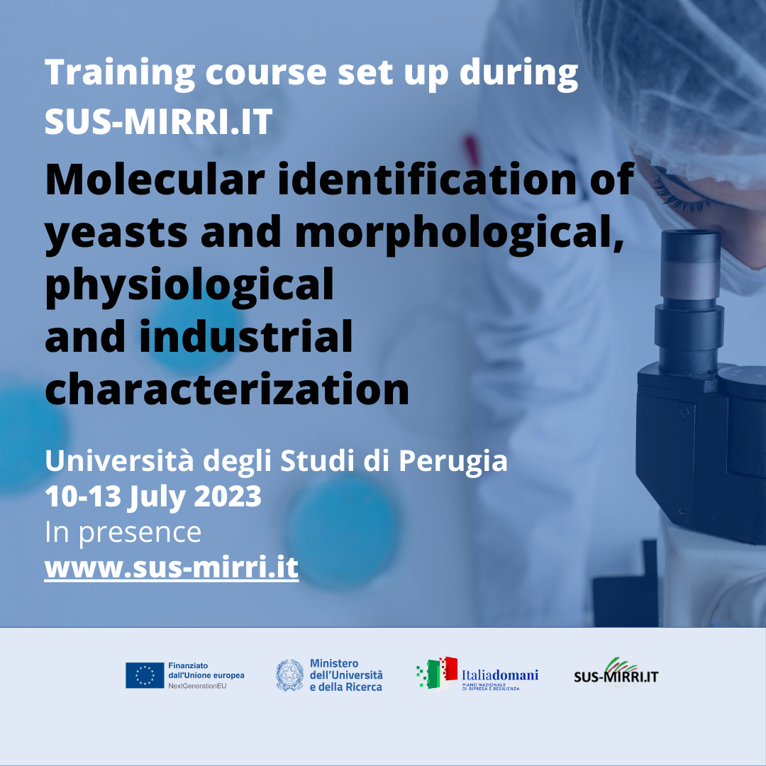 Training – SUS Mirri